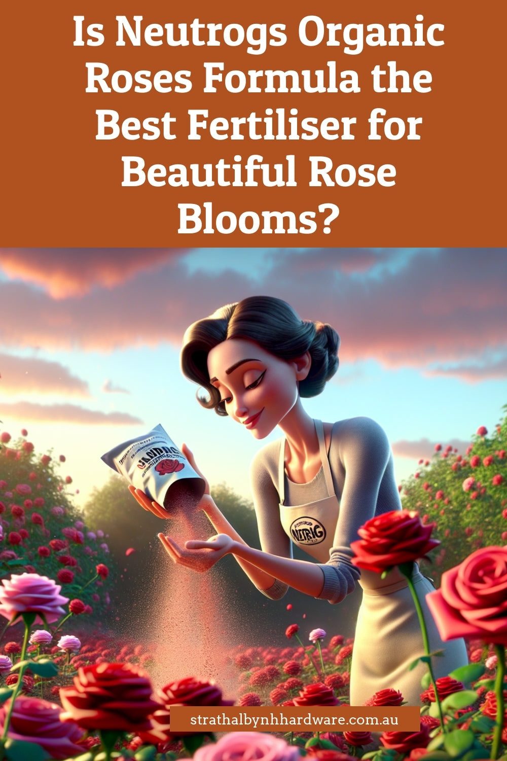 Is Sudden Impact For Roses the Best Fertiliser for Beautiful Rose Bloo ...