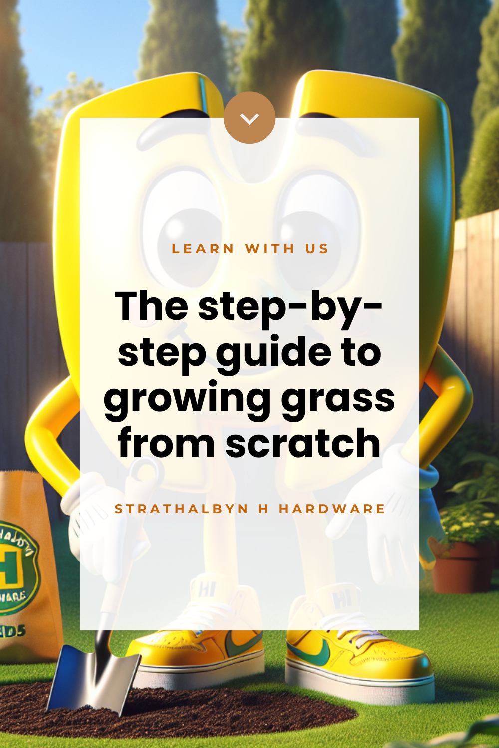 The step-by-step guide to growing grass from scratch – Strathalbyn H ...