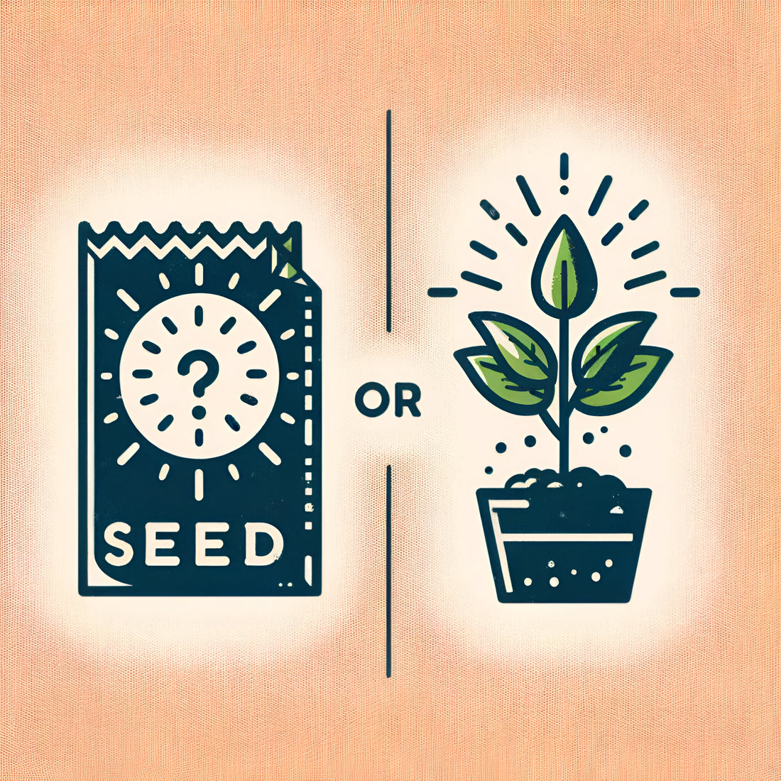 Seeds vs. Seedlings: Which is the Best Starting Point for Your Garden ...