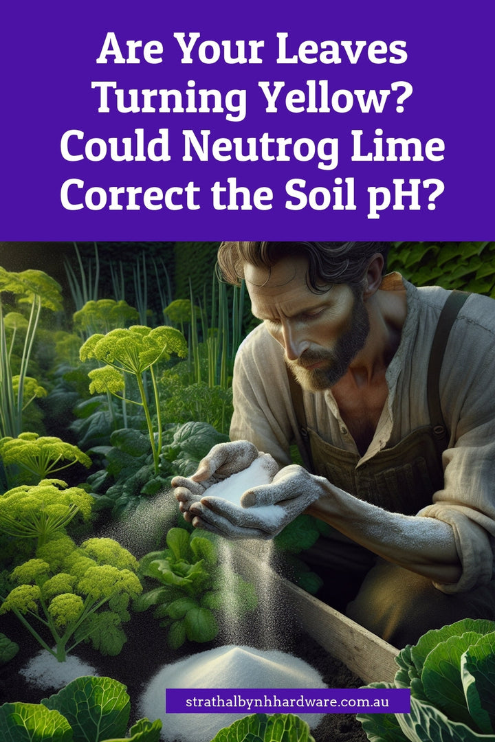 Unlock Nature’s Potential: The Benefits of Using Neutrog Rapid Raiser ...