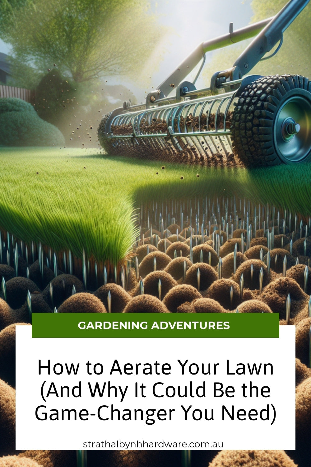 How to Aerate Your Lawn (And Why It Could Be the Game-Changer You Need ...