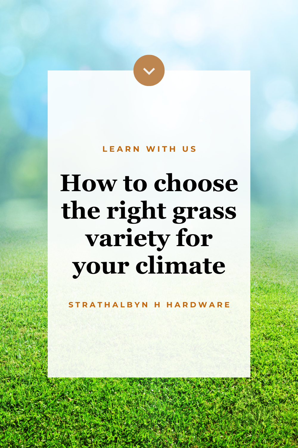 How to choose the right grass variety for your climate – Strathalbyn H ...